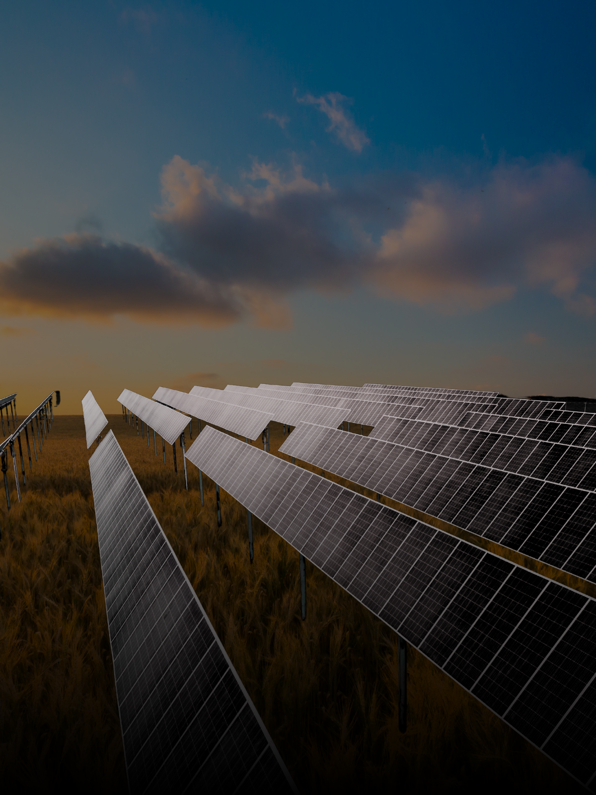 Freiland-Montagesysteme kaufen | Sunaro